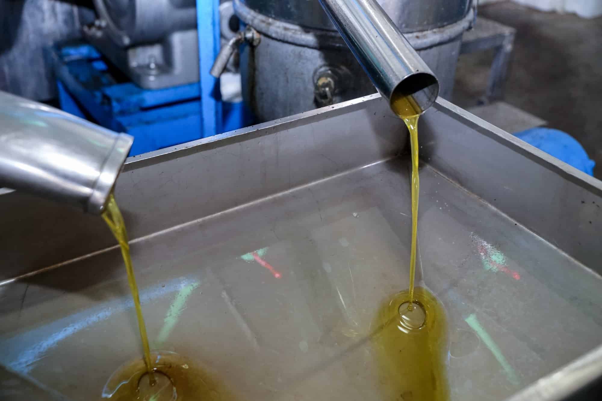 Πως να ξεχωρίσουμε το νοθευμένο ελαιόλαδο - Τι να προσέξετε
