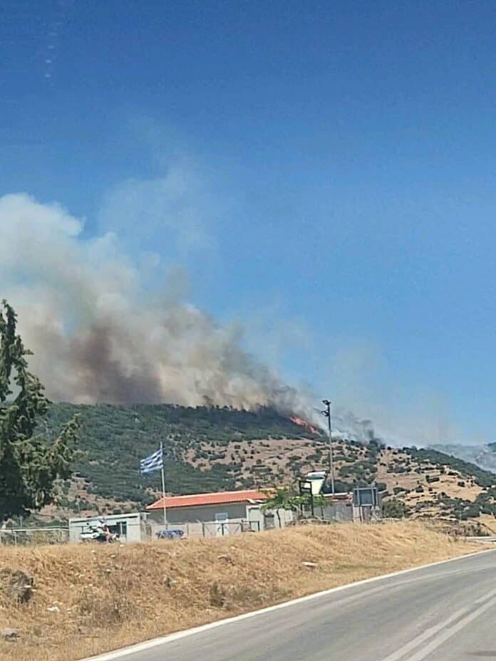 Mεγάλη φωτιά στη Λέσβο: Στη «μάχη» επτά αεροσκάφη και ένα ελικόπτερο